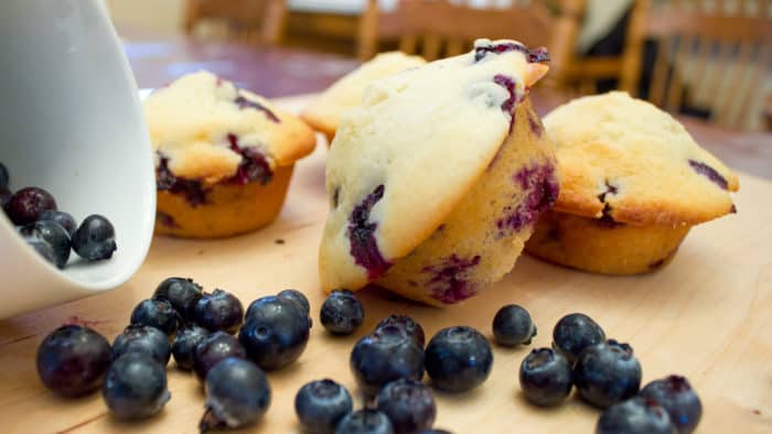 Blueberry Muffin Recipe