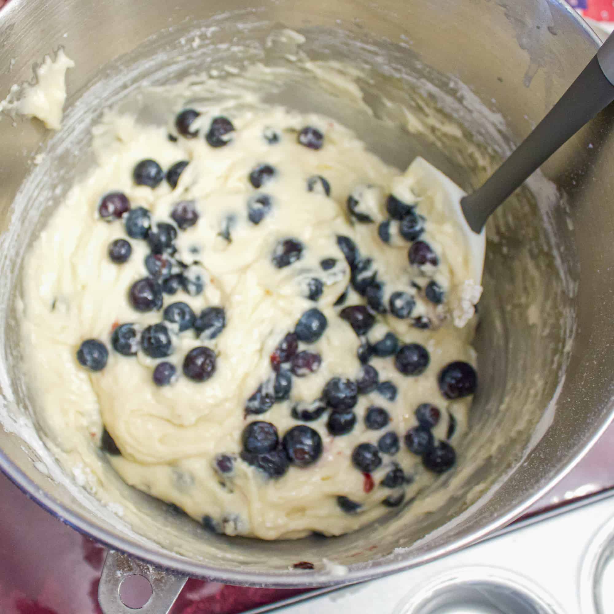 Blueberry Muffin Recipe