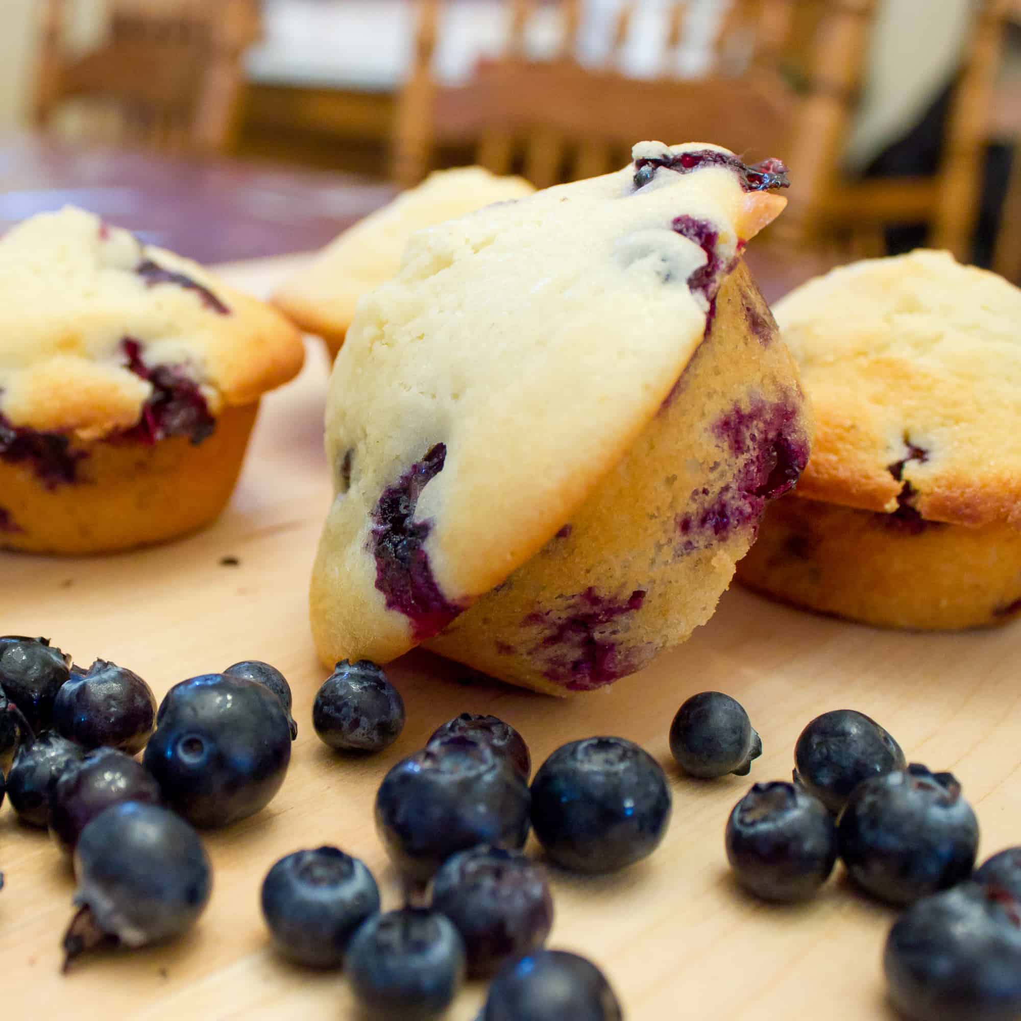 Blueberry Muffin Recipe