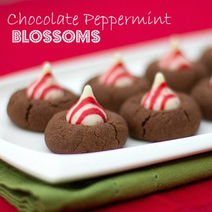 Chocolate Peppermint Blossoms Recipe with a Hershey's Kiss