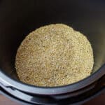 Pressure Cooker Steel Cut Oats and Red River Cereal Recipe