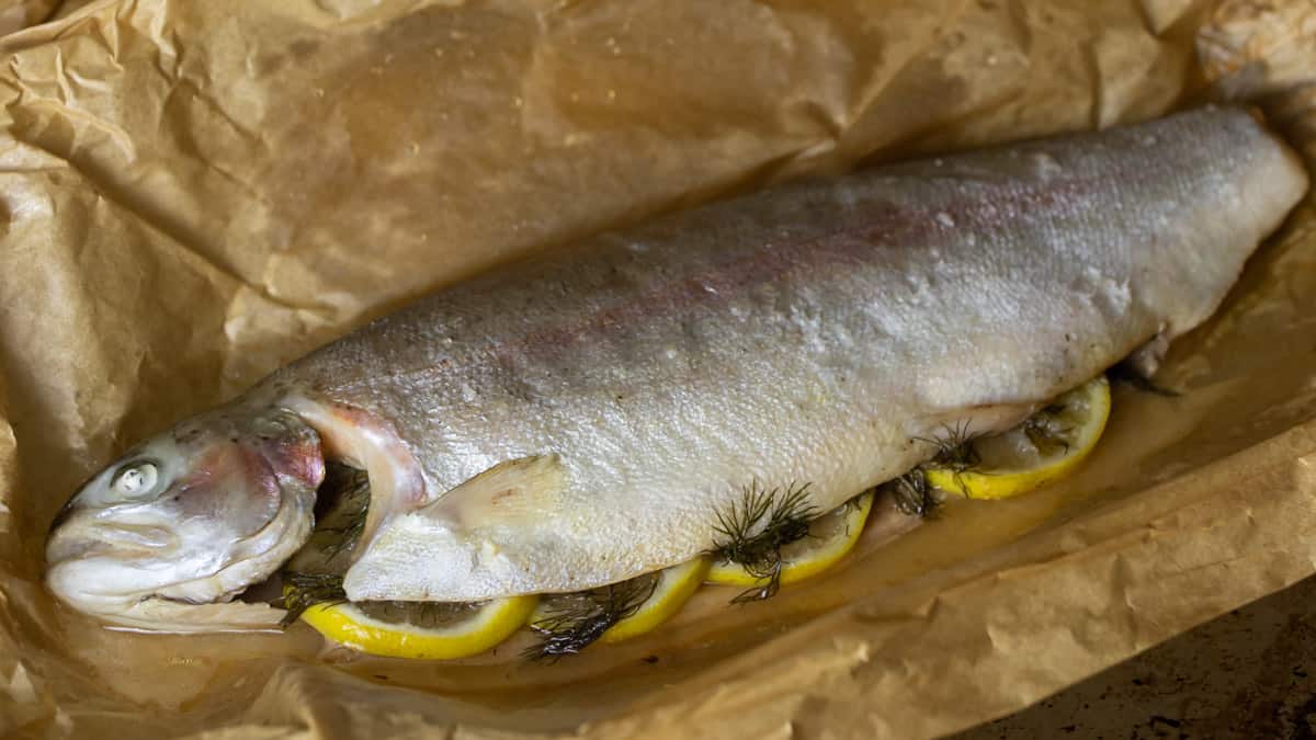 Baked Whole Rainbow Trout - The Black Peppercorn